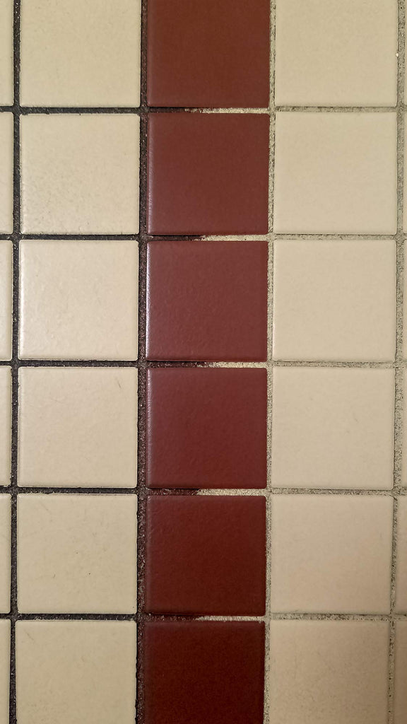 Square Scrub 20" Blue Tile & Grout Pad - Sold Individually – TTS Products