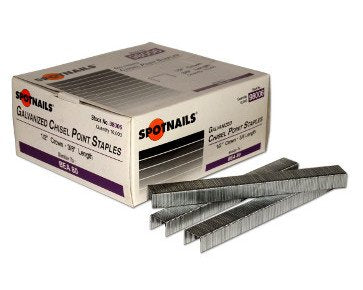 Spotnails 98006 3/8" Staples Carton of 20 Boxes – TTS Products