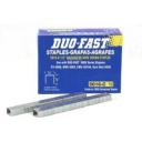 Duo Fast type 5012C Staple 3/8" – TTS Products